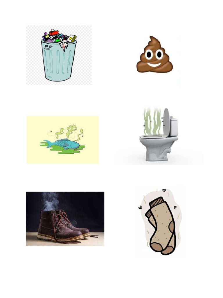 Things That Smell Bad | PDF