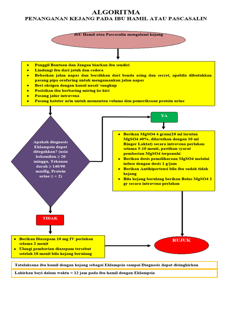 Algoritma Penanganan Ibu Hamil Andri | PDF | Kesehatan Holistik