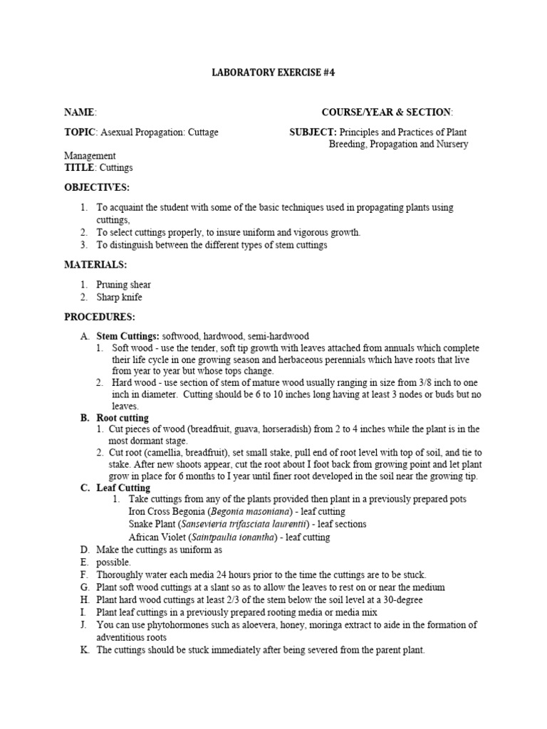 Laboratory Exercise #4 Cuttage | PDF | Plant Hormone | Botany
