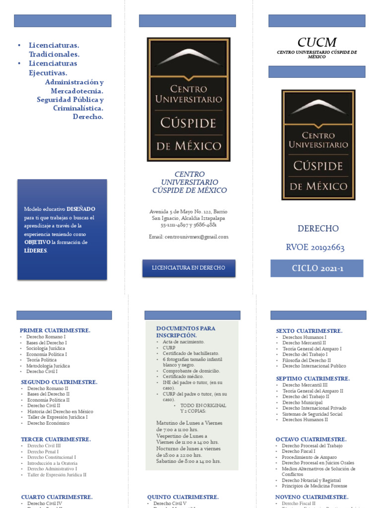 Triptico Derecho | PDF | Ley procesal | Principios éticos