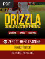 Free 2-3 Month Player Accelerator Program | PDF
