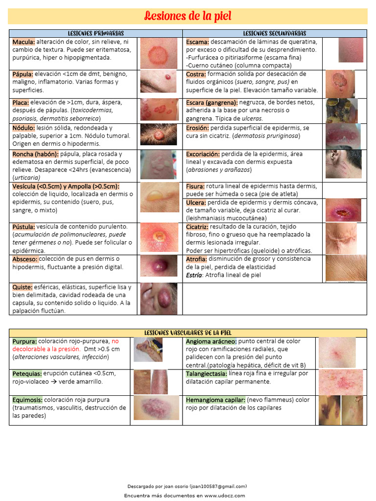 Lesiones de La Piel 244444 Downloable 2060122 | PDF | Piel | Epidermis