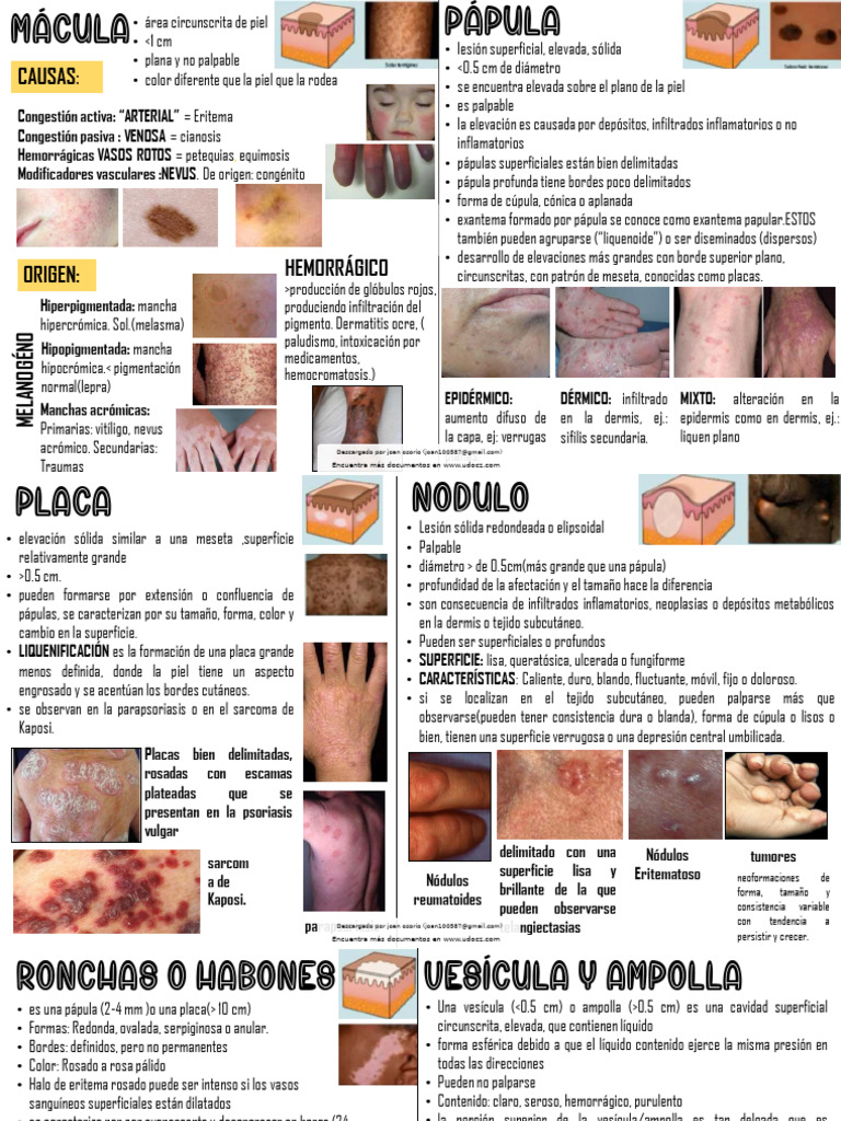 Principios 180674 Downloable 2060122 | PDF | Piel | Epidermis