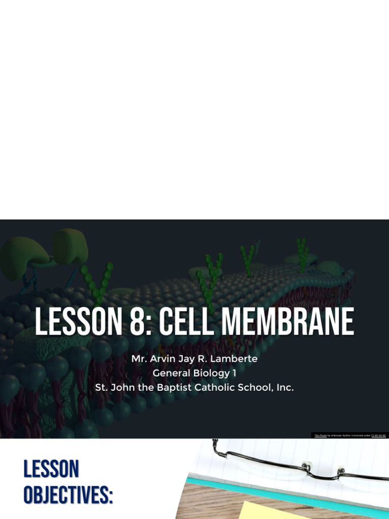 Lesson 8 - Cell Membrane | PDF | Cell Membrane | Lipid Bilayer