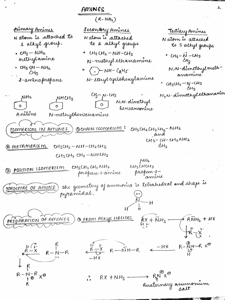 Amines Notes | PDF