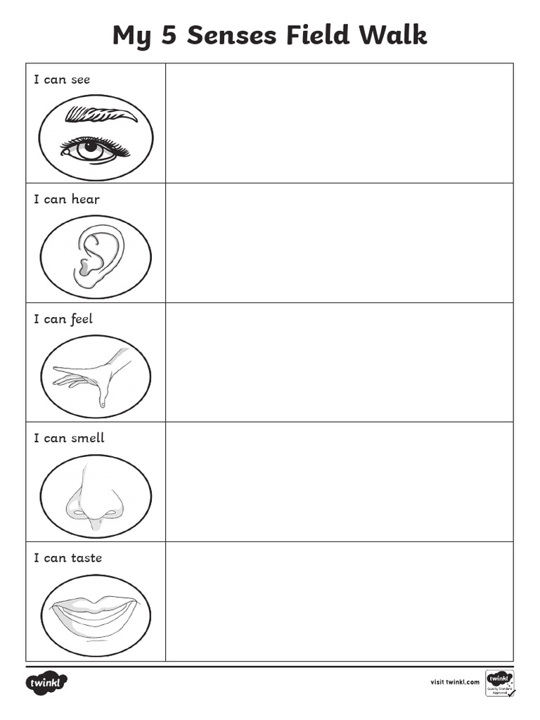 Au T 3746 Five Senses Field Walk Worksheet Ver 1 | PDF