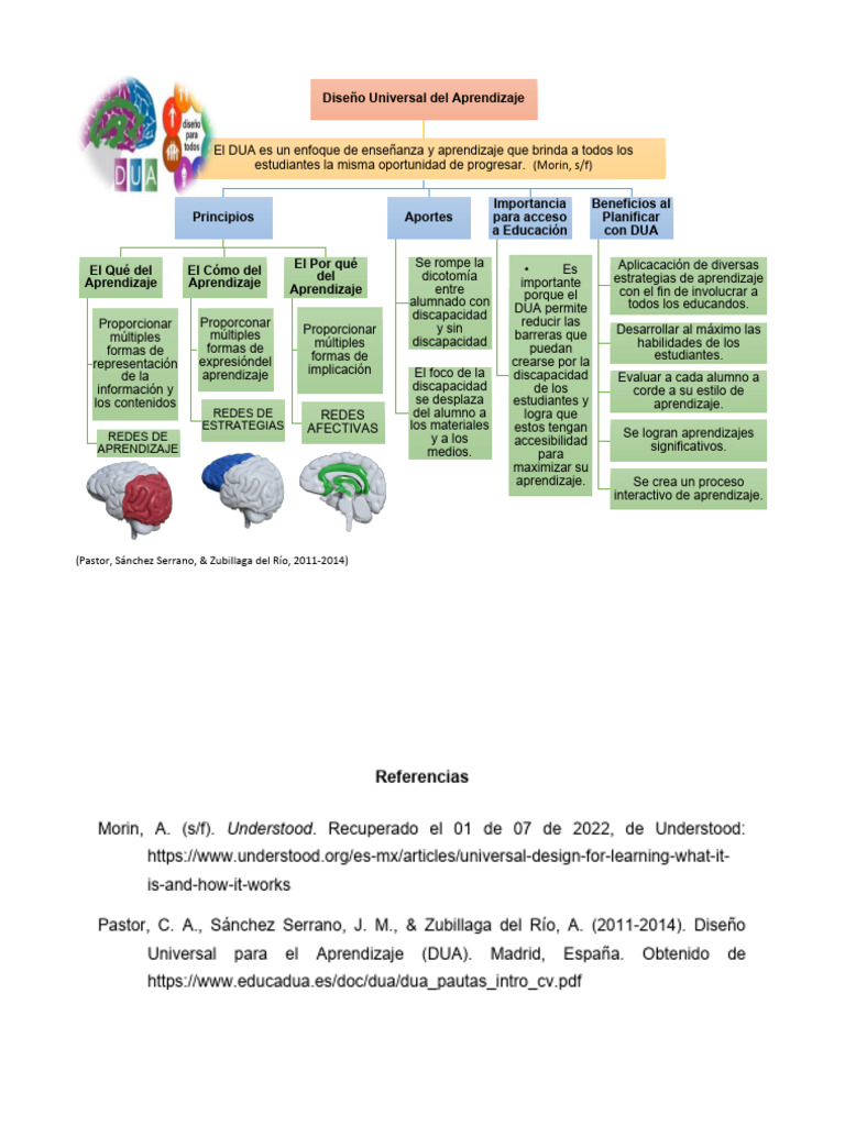 Diseño Universal del Aprendizaje DUA | PDF | Aprendizaje | Invalidez