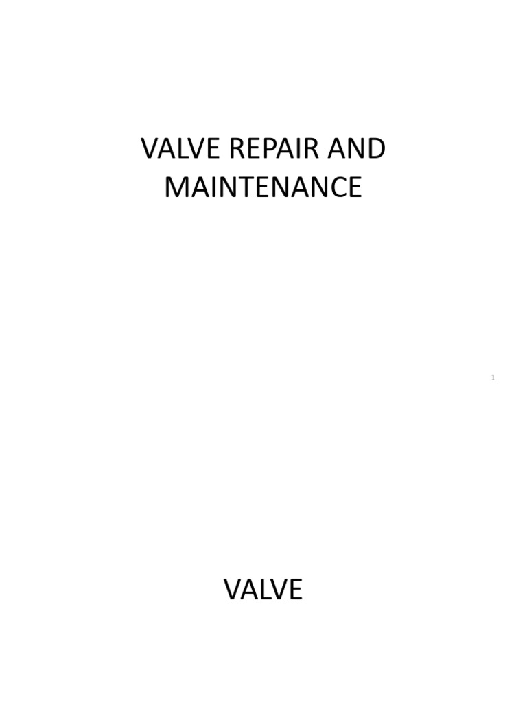Valve Repair and Maintenance Guide | PDF | Valve | Manufactured Goods