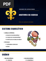 Forames Do Crânio | PDF | Neuroanatomia | Anatomia humana