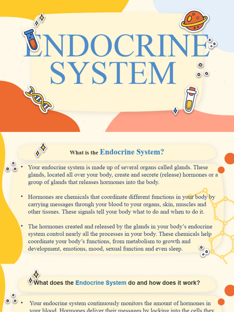 Endocrine System | PDF | Endocrine System | Luteinizing Hormone