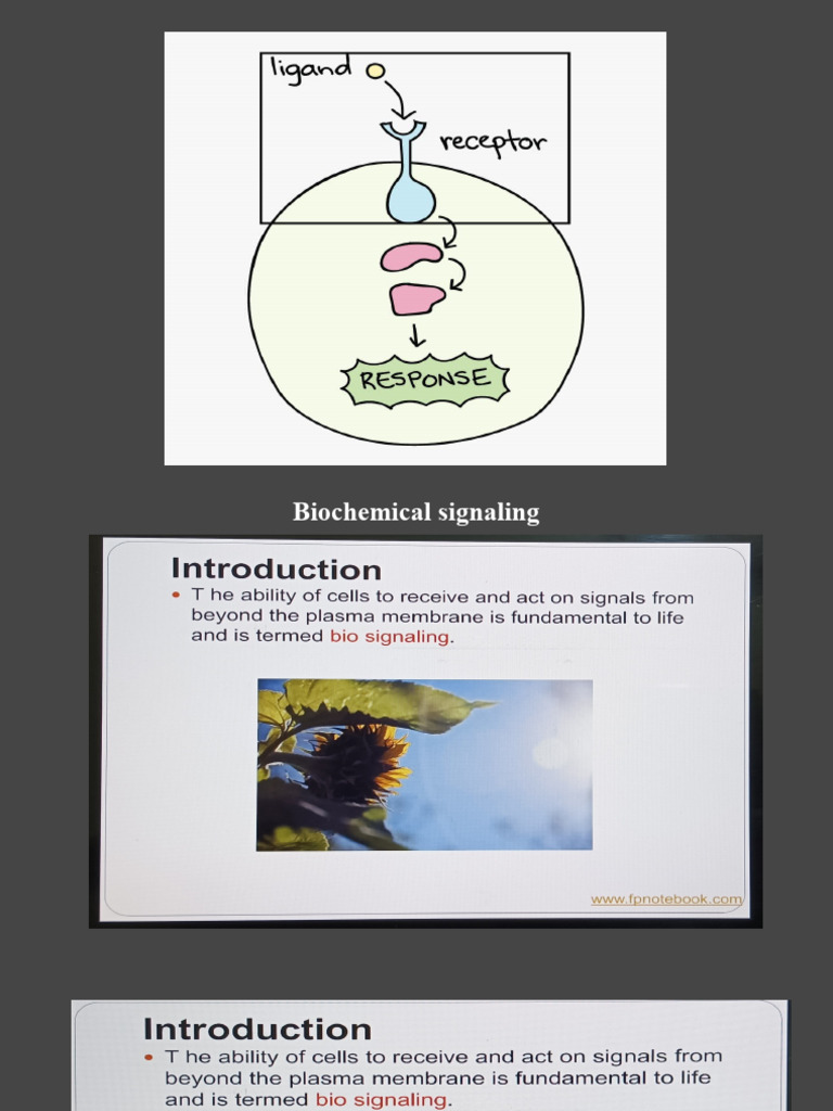 Biosignaling-1 | PDF