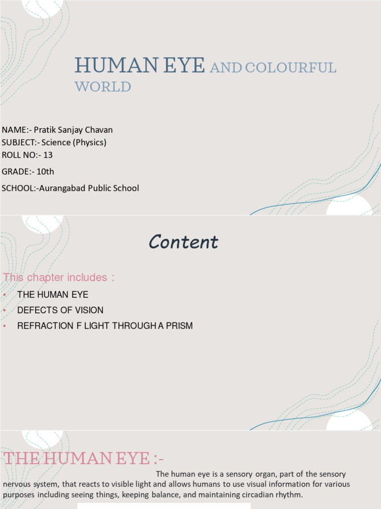Human Eye Chapter's | PDF