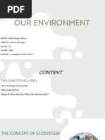 Our Environment - Short Notes (Prashant Kirad) | PDF | Ecosystem | Food Web