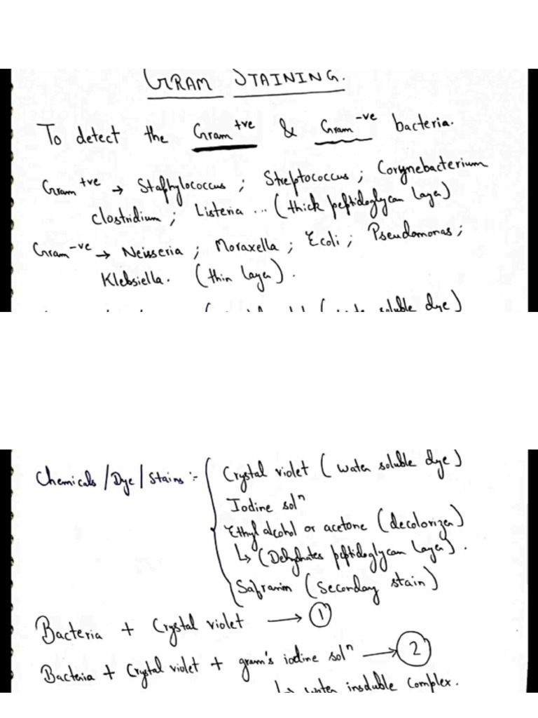 Gram Staining | PDF