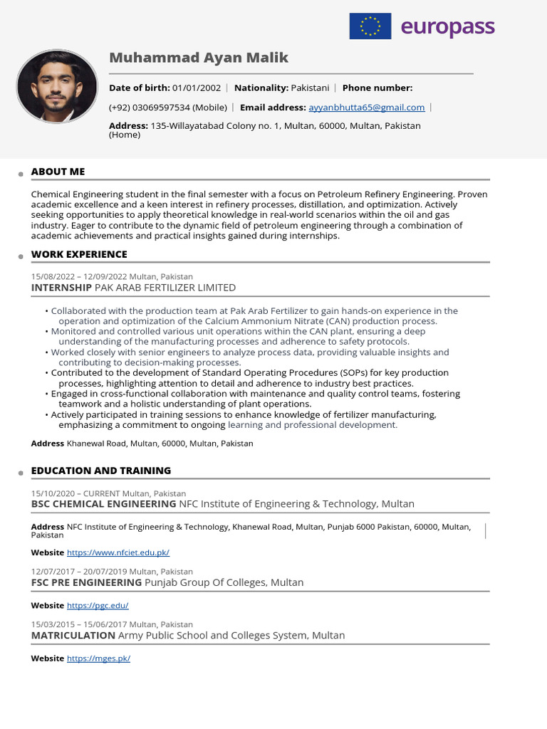 Europass CV Template | PDF | Engineering | Oil Refinery