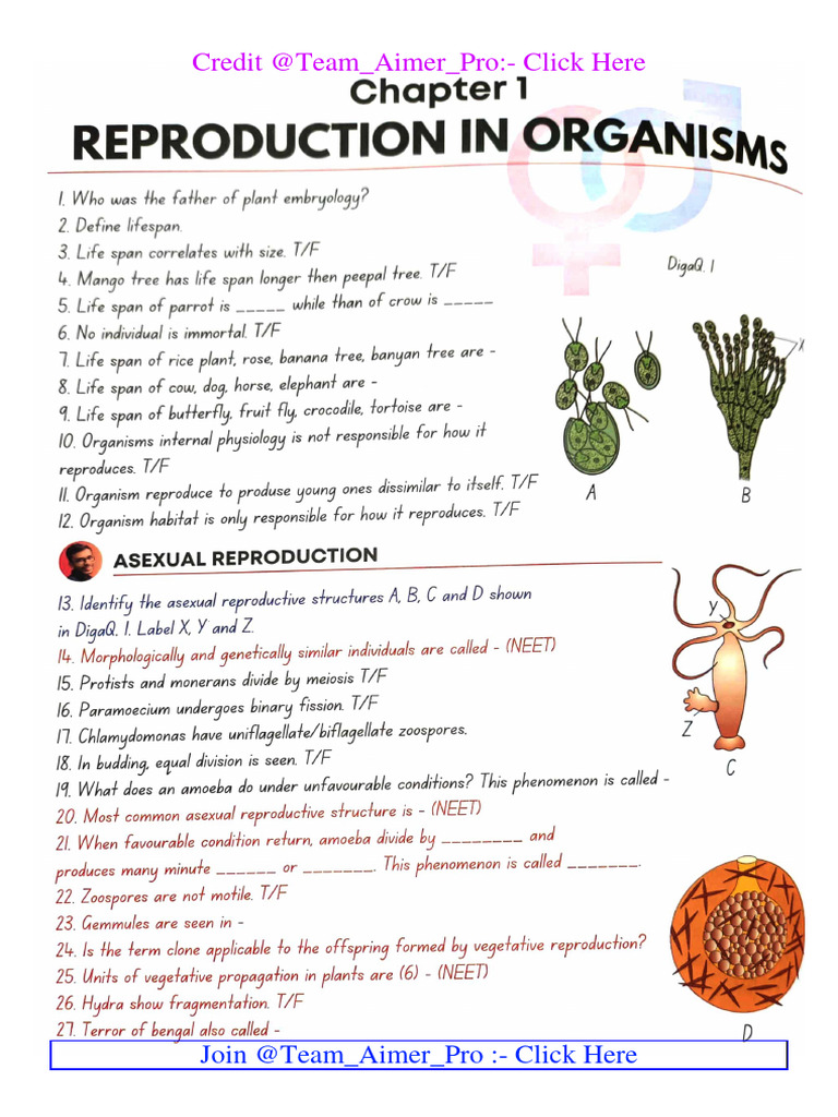 Biohack Complete Class 12 | PDF