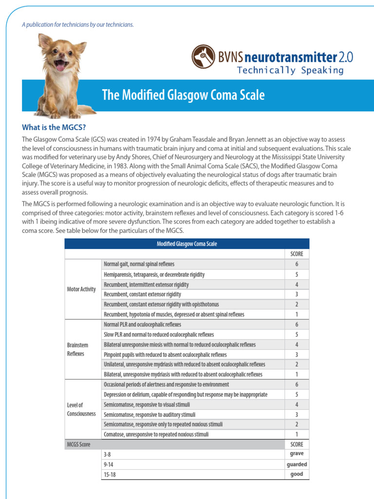 Neurotransmitter 2.0 MGCS Final | PDF | Coma | Traumatic Brain Injury