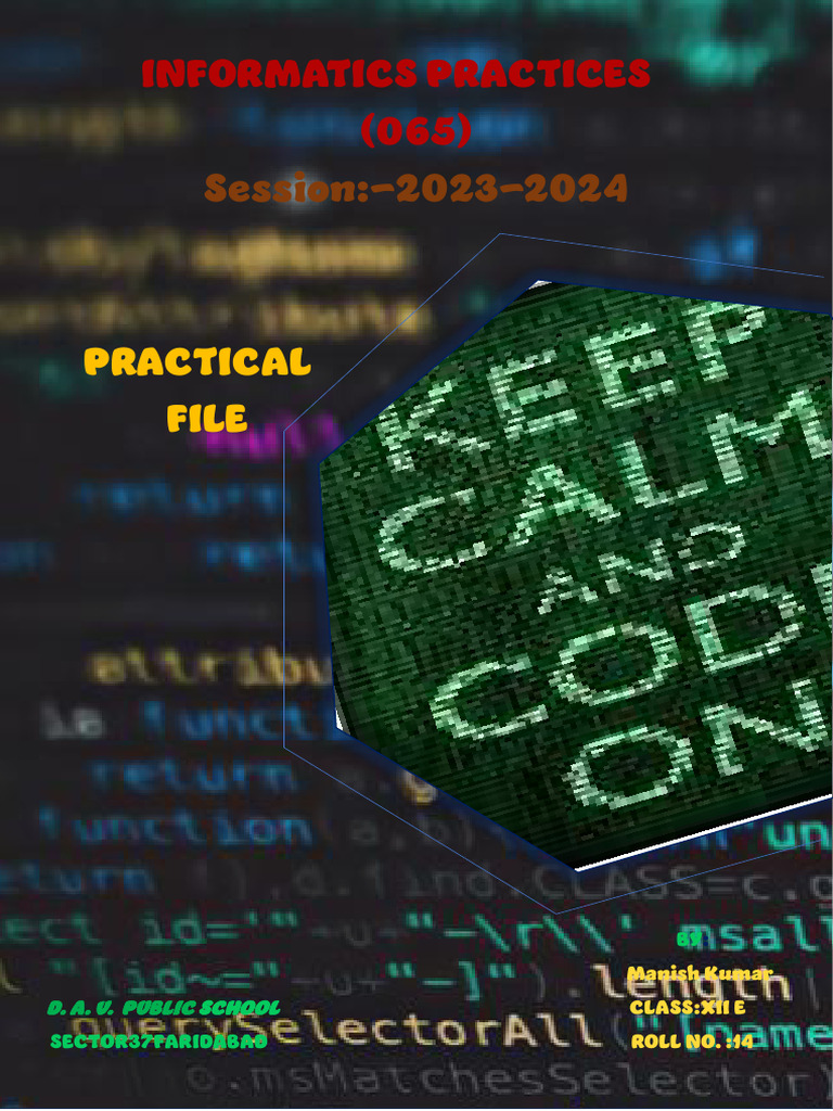 IP Practical File (Final) | PDF