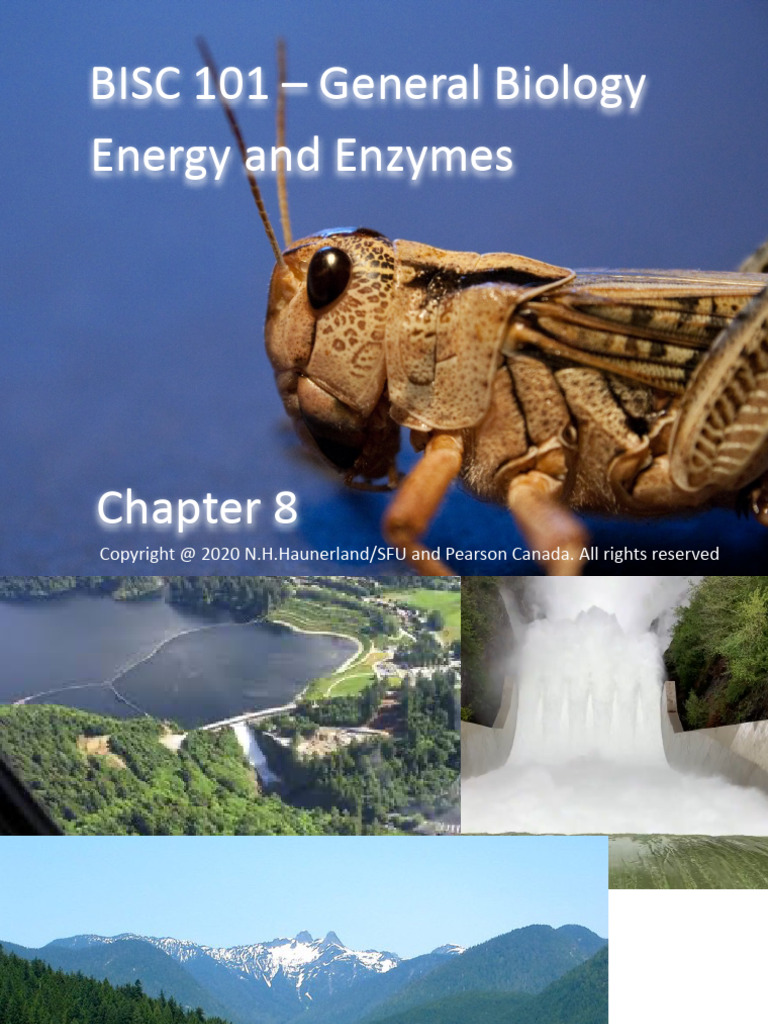 Lecture Slides Week 6-1 | PDF | Redox | Chemical Reactions