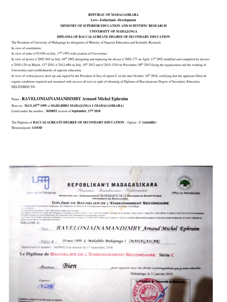 Baccalaureate Degree | PDF