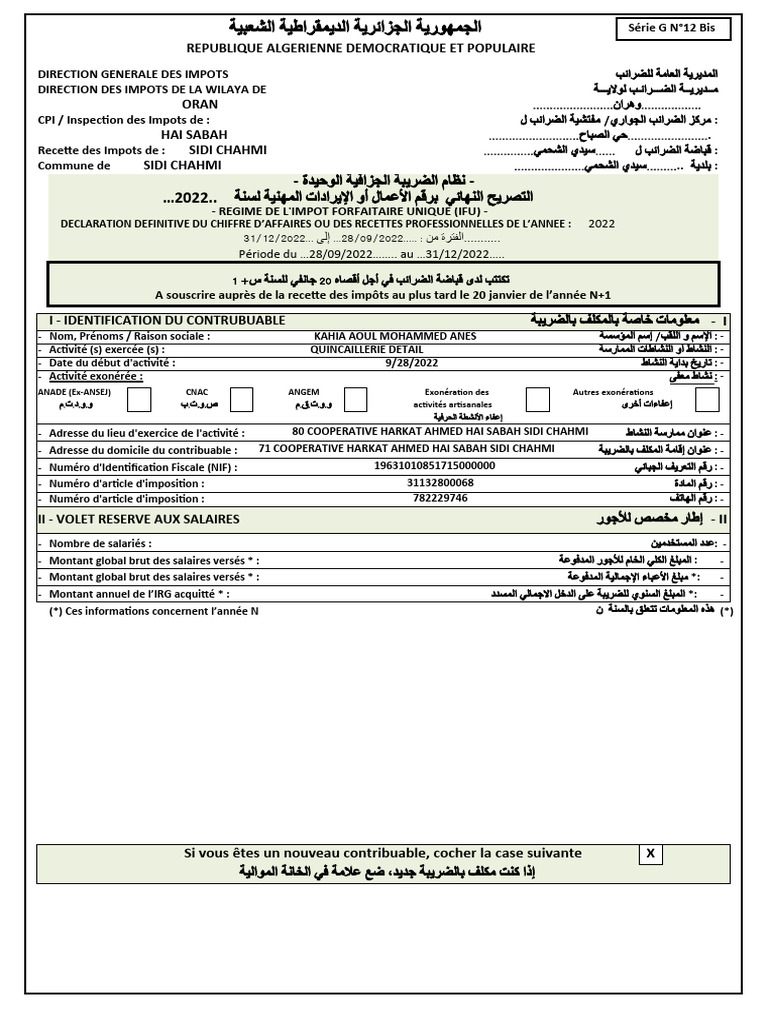 g12 Bis Excel | PDF