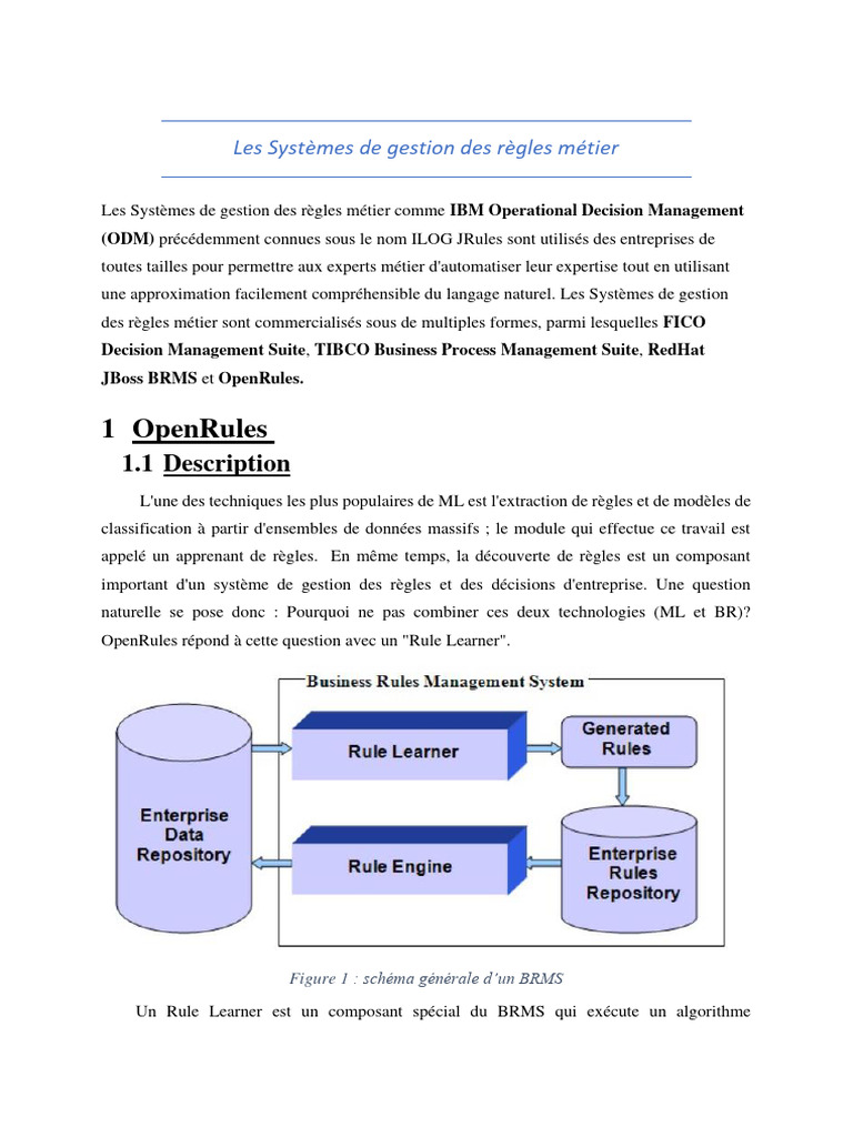 Systèmes de gestion des règles métier et ML | PDF | Apprentissage ...