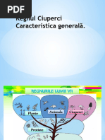 Regnul Fungi | PDF
