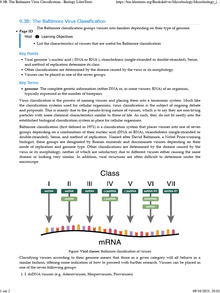 9.3B The Baltimore Virus Classification - Biology LibreTexts | PDF | Virus | Biological ...