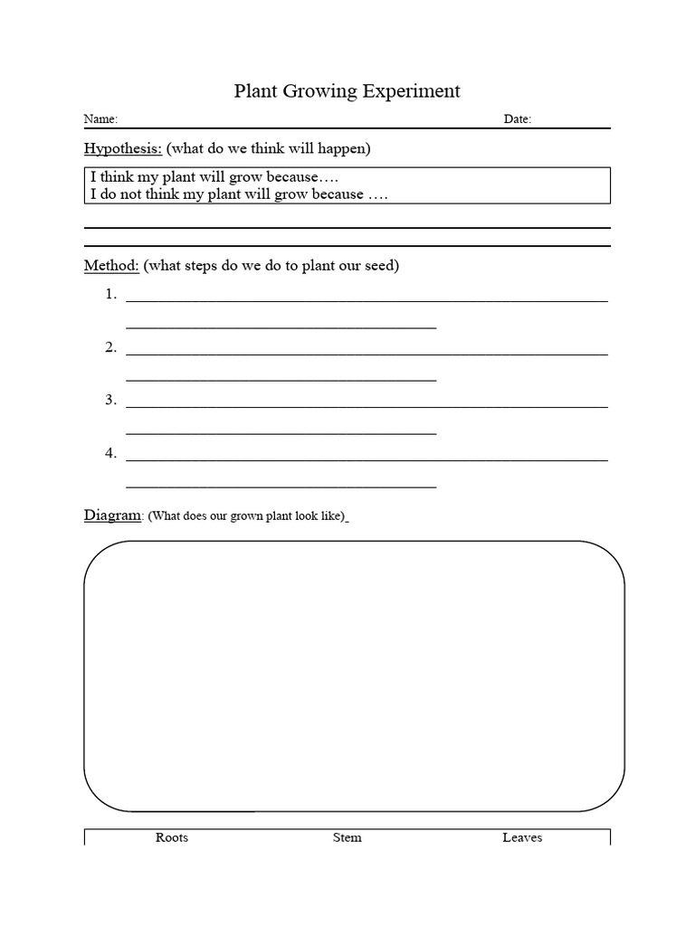 Plant Growing Experiment | PDF
