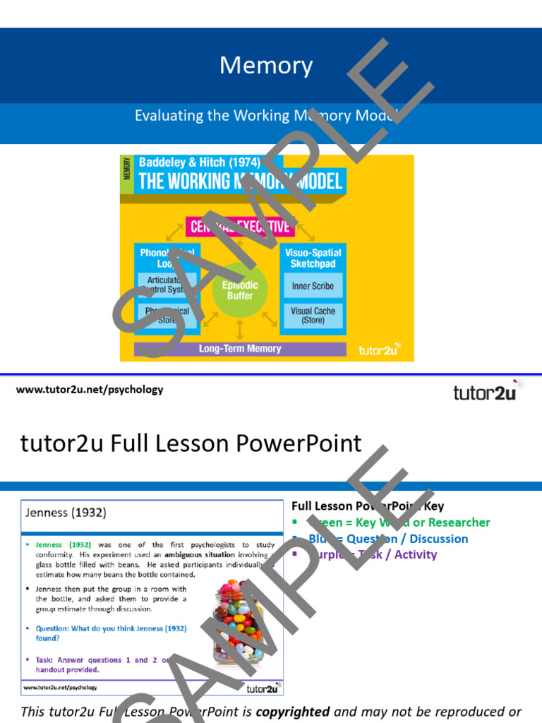 Evaluating The Working Memory Model Sample | PDF | Behavioural Sciences | Neuroscience