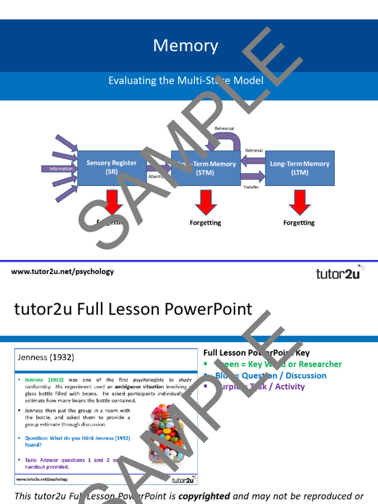 Evaluating The Multi Store Model Sample | Download Free PDF | Memory ...