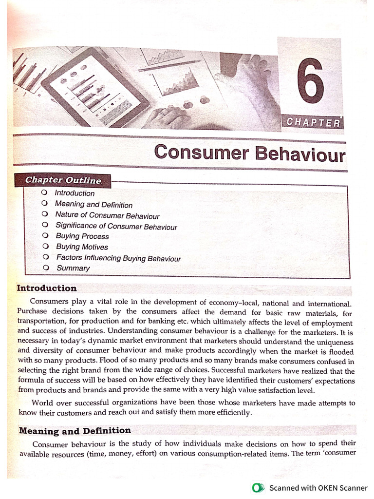 Consumer Behaviour | PDF