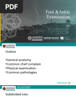 Ankle MMT | PDF | Foot | Anatomical Terms Of Motion