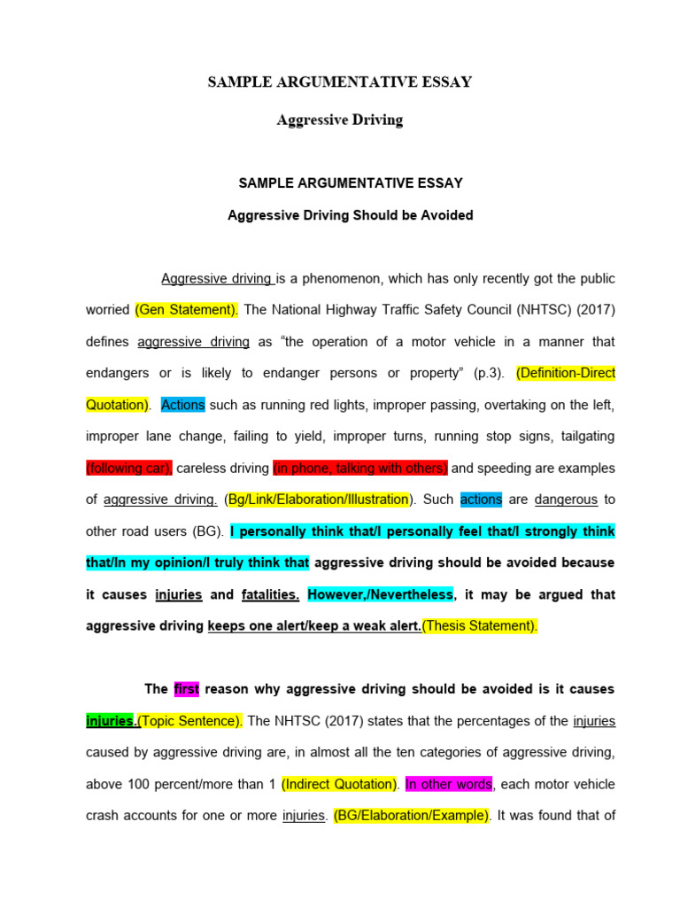 Sample Argumentative Essay | PDF | Traffic | Driving
