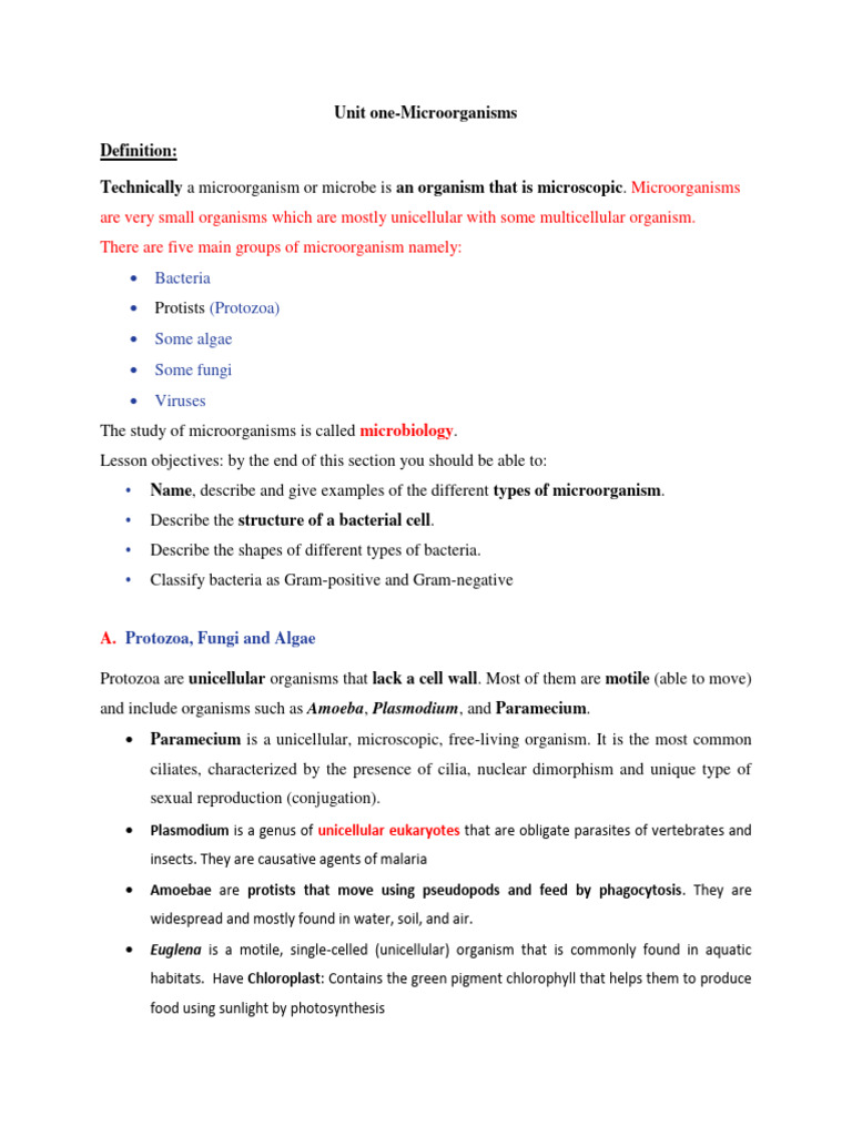 Microorganisms 2 | PDF | Bacteria | Microorganism