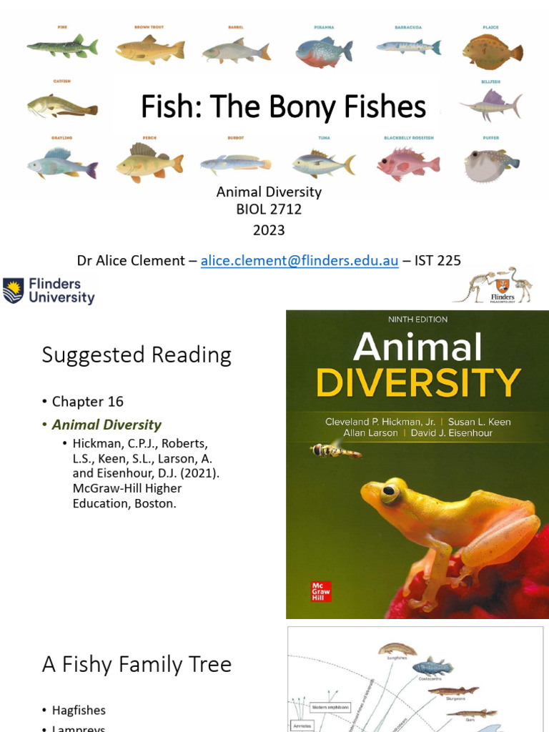 Osteichthyes | PDF | Fish | Aquatic Animals