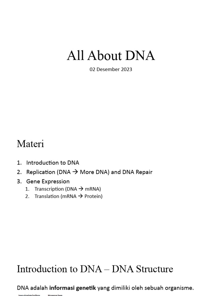 All About DNA - OSK Level | PDF