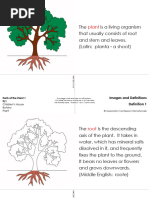 Grade 7 Geography Term 2 | PDF