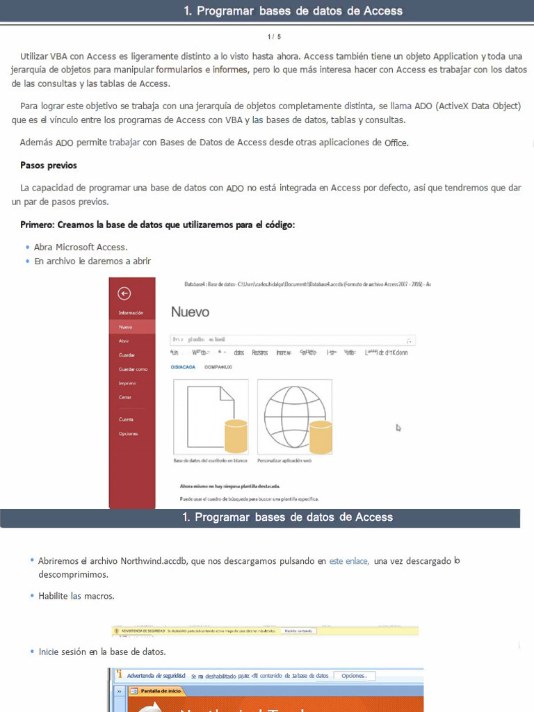 1 Programar Bases De Datos Con Access Pdf Active X Data Objects Microsoft Windows