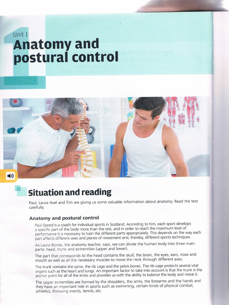 ANATOMY AND POSTURAL CONTROL | PDF