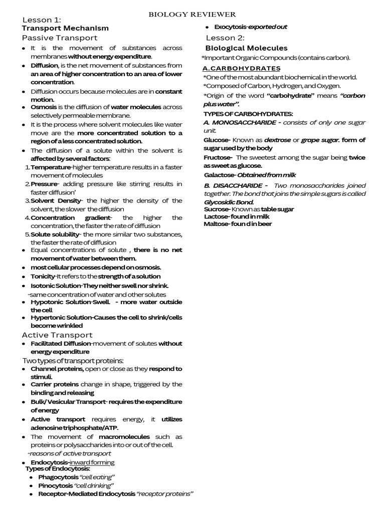 Transport Mechanism - Free Word Template