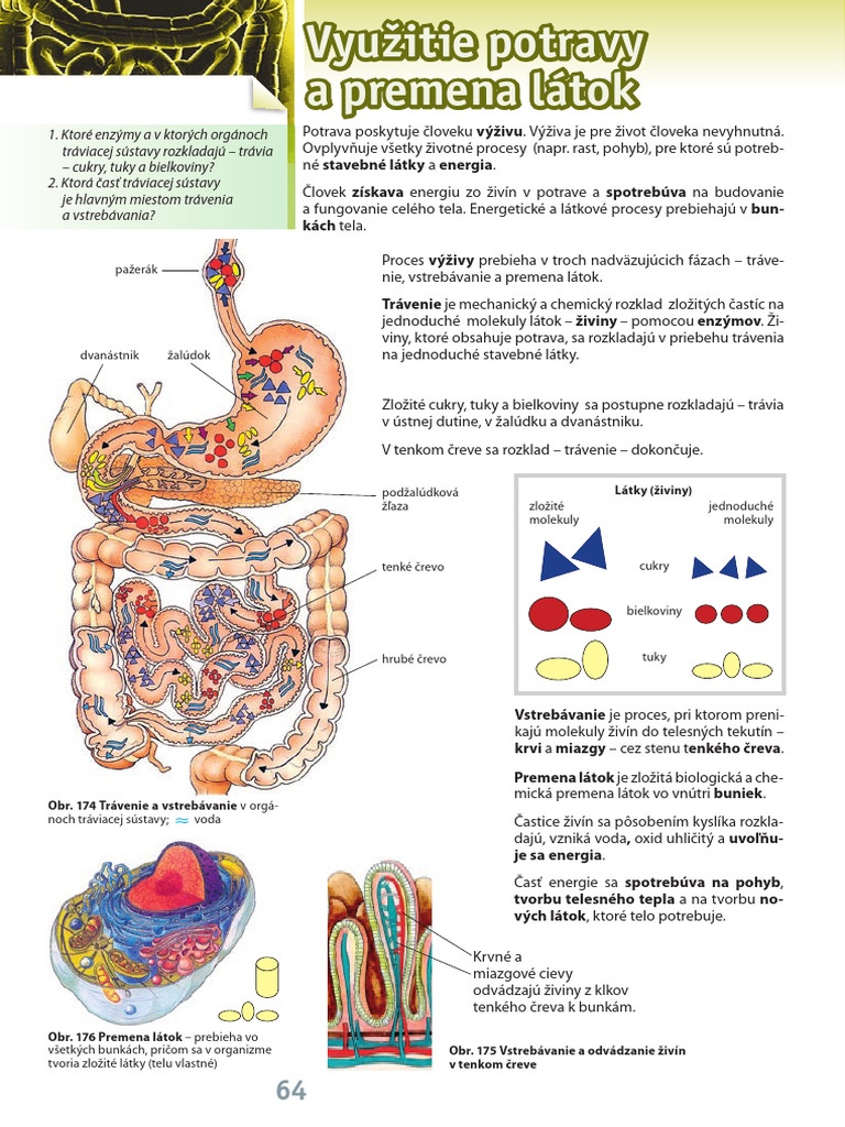 Biológia 7.ročník PDF | PDF