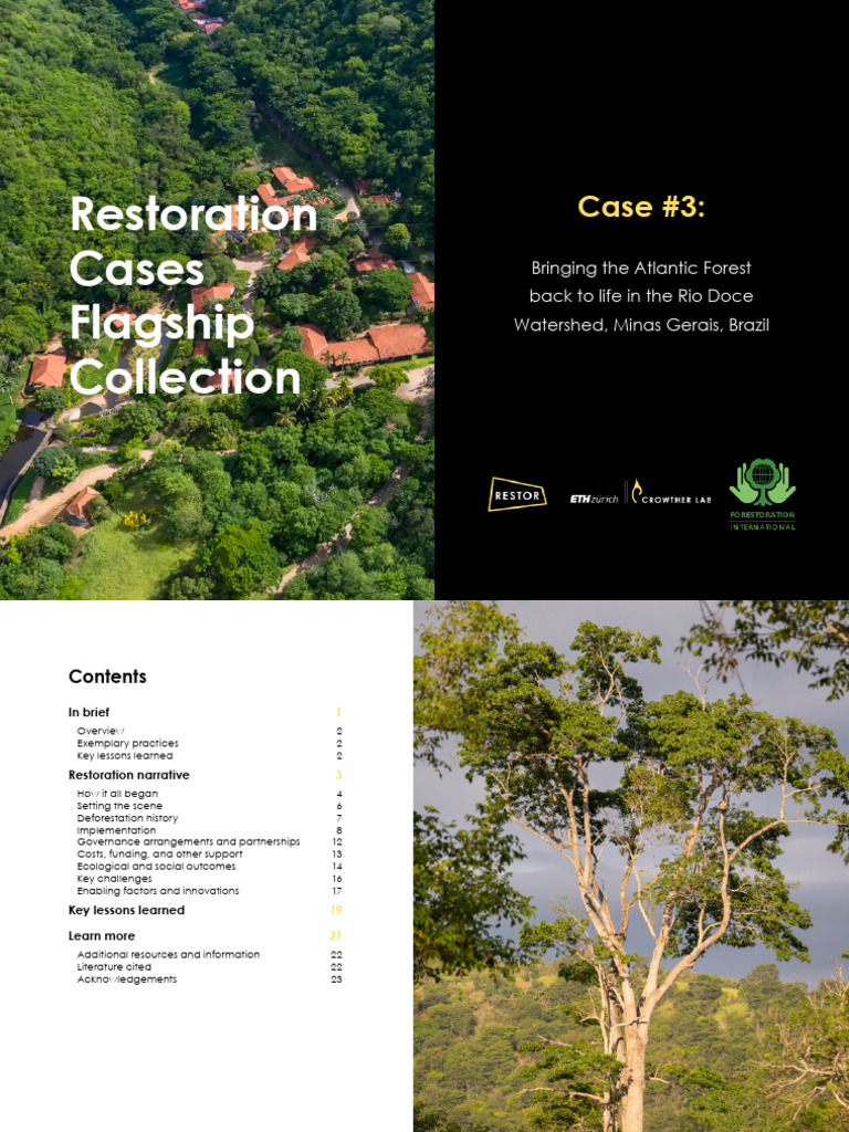 In-Brief - Case Study 3 Brazil Summary | PDF