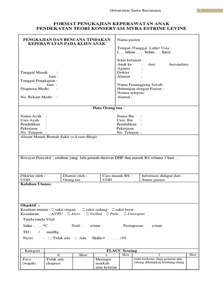 Form Pengkajian Anak | PDF