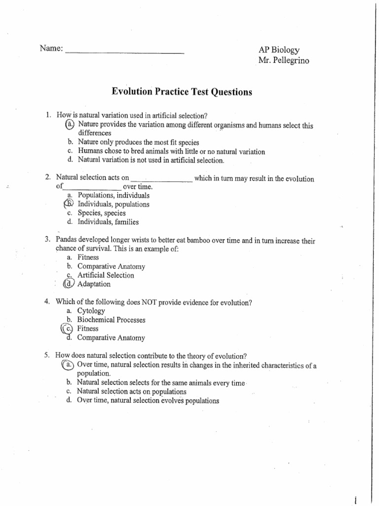 1 AEvolution Test Practice Answer Key | PDF