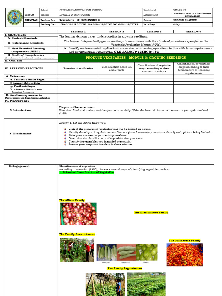 Vegetable Classification for Grade 10 | PDF | Vegetables | Fruit