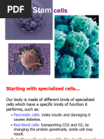 ACNS Neonatal EEG Guidelines | PDF | Electroencephalography | Sleep