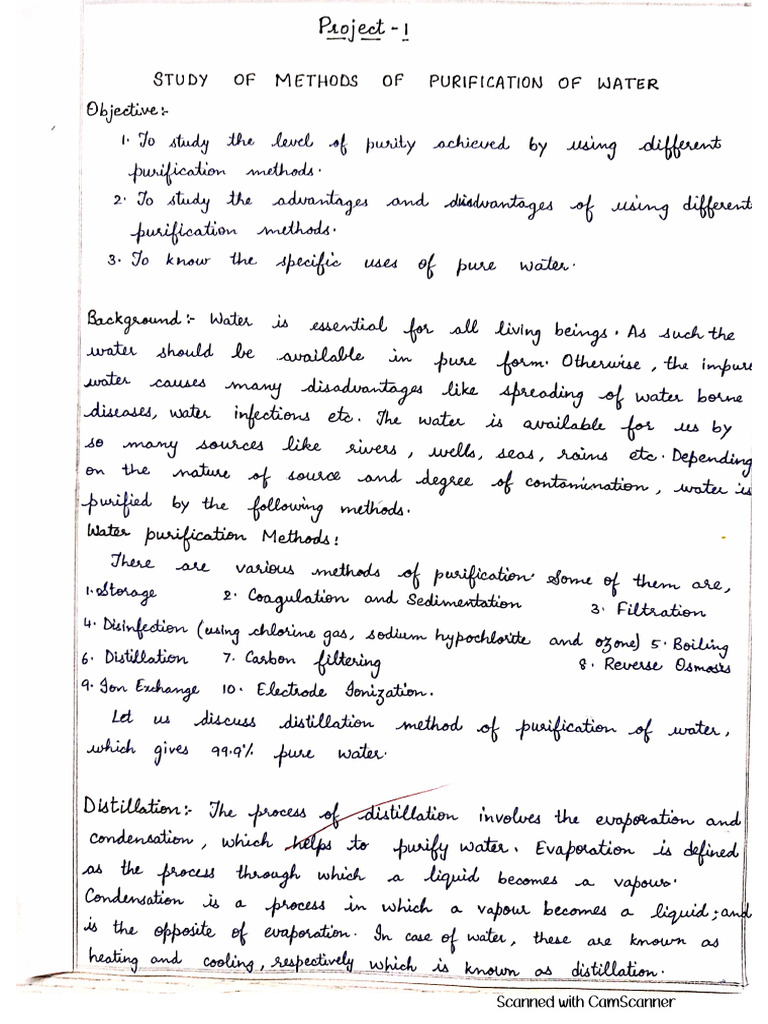 Chemistry Sr Cbse Project Work | PDF