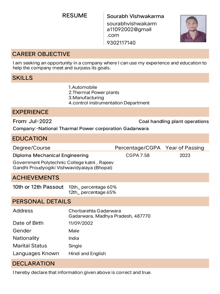 Resume Sourabh Vishwakarma Format6 | PDF