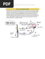 Ruler Drop Test Results Summary | PDF